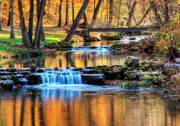 About - Johnny Morris Nature Resorts